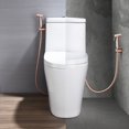 1-Pack Handheld Bidet Sprayer for Toilet, Stainless Steel Spray Kit ...