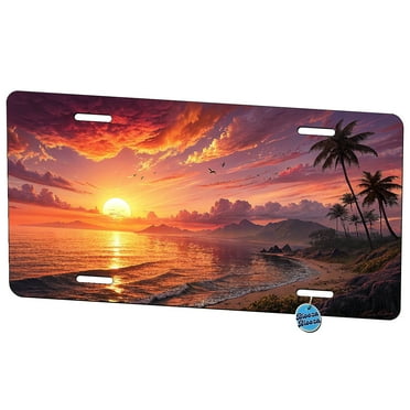 License Plate Caribbean Islands Souvenir Gifts 6x12 Metal Caribe Island ...