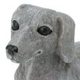 BOKYAN Lifelike Dachshund Dog Garden Statue, Resin Yard Art Sculpture ...
