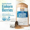 Grand Teton Ancient Grains - 100% Organic Einkorn Berries, Premium Food ...