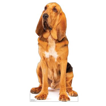 Dobby (Harry Potter 7) Cardboard Stand-Up, 3ft - Walmart.com