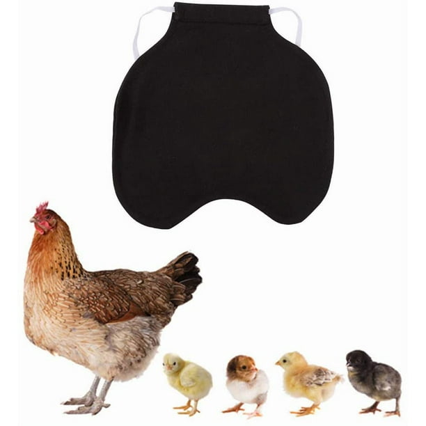 nipocaio Premium Chicken Saddle with Elastic Shoulder Strap,Pet Feather ...