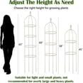 2026 Hot Sale Set of 2 Outdoor 6Ft Round Obelisk Plant Trellises, Anti ...