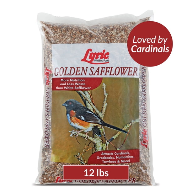 Lyric Golden Safflower Wild Bird Seed - Attracts Woodpeckers Cardinals ...