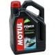 Motul 105873; Power Jet 2T Pwc Oil 4 Lt - Walmart.com