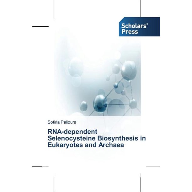RNA-dependent Selenocysteine Biosynthesis in Eukaryotes and Archaea ...