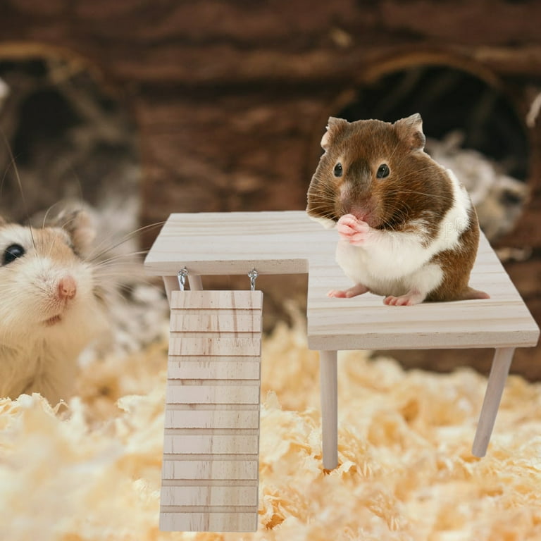 Diy Hamster House
