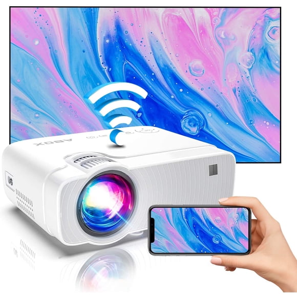 Outdoor Projector Dvd Player