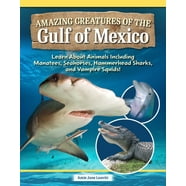 Kai The Missionary Sea Turtle Kai la tortuga marina misionera ...