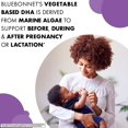Bluebonnet Nutrition Early Promise Prenatal Gentle DHA 200mg Vegetable ...