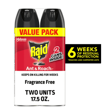 Raid 22 oz Home & Pet Friendly Indoor Bug Killer Spray, Safe for Ant ...