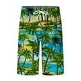 Himmake Mens Swim Trunks Mens Swim Trunks 9 Inch Couples Matching Swimsuits 5 Inch Linen