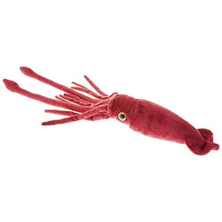 Giant Red Squid