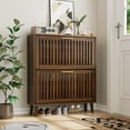 Truman Pick 31.5-inch Walnut Shoe Storage Cabinet with Flip Drawer ...