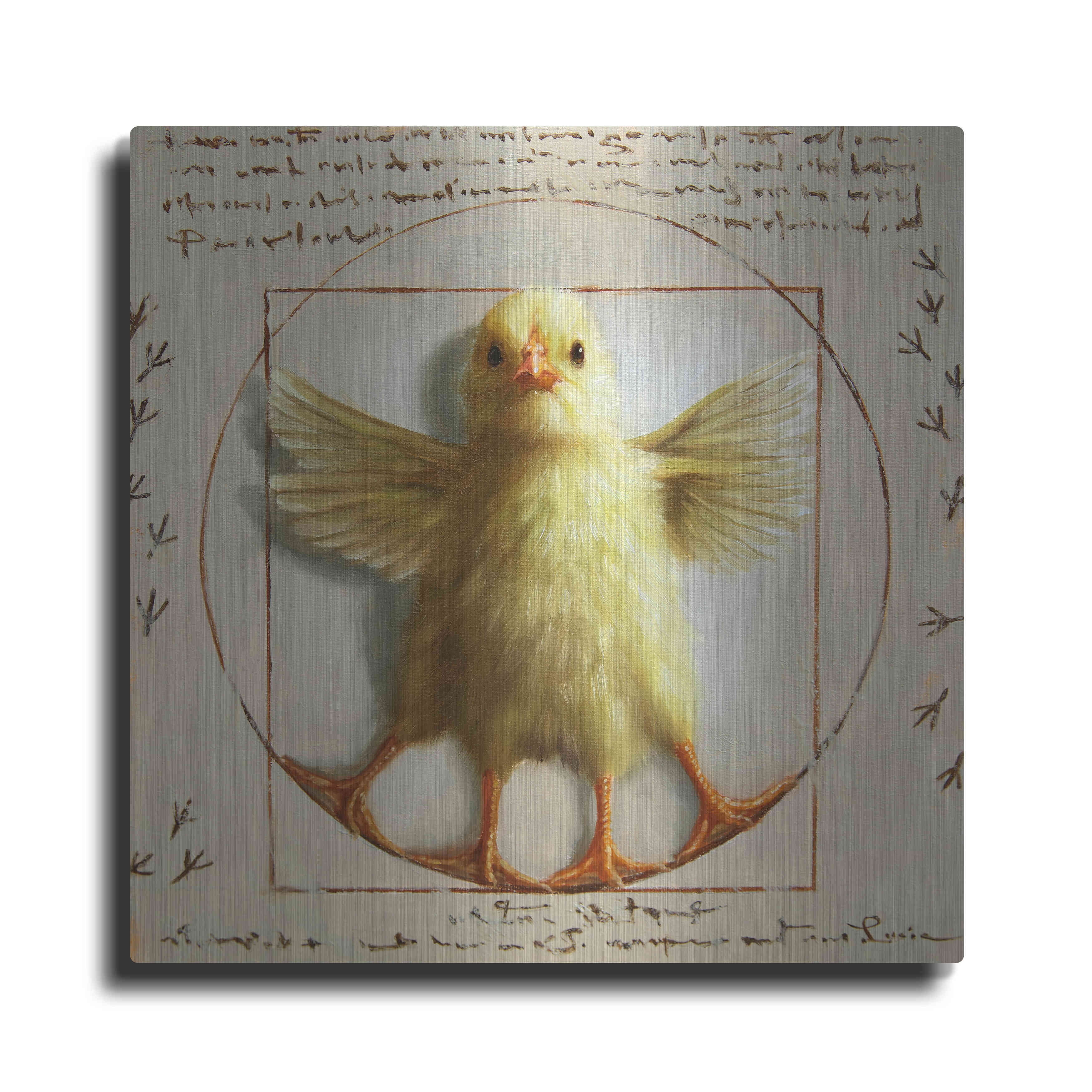 Luxe Metal Art 'Vitruvian Chick' by Lucia Heffernan, Metal Wall Art, 12 ...
