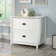 Sauder County Line 2-Drawer Lateral File Cabinet, Soft White Finish ...