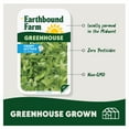 Earthbound Farm Ebf Greenhouse Crisp Lettuce 8oz - Walmart.com