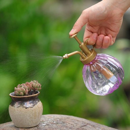 Bottle Nozzle, 350ML Hand Water Spray Pot Portable Cans Flower, 20cm/7 ...