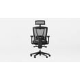 Autonomous ErgoChair Pro Office Chair Lumbar Support Black - Foam ...