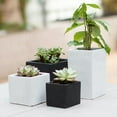 K-Cliffs Black and White Square Ceramic Modern Plant Pots (4 Count ...