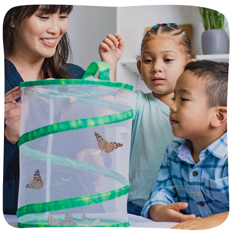 Insect Lore Butterfly Garden