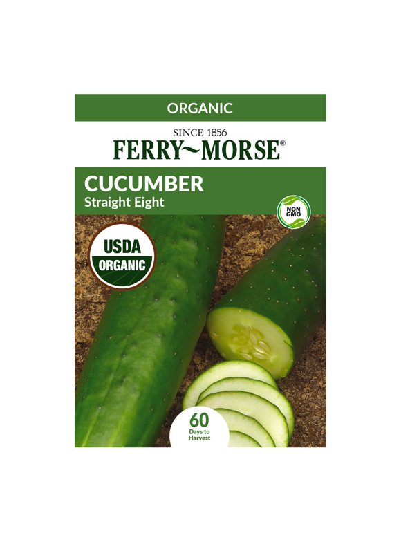 Cucumber Seeds in Seed Gardening - Walmart.com