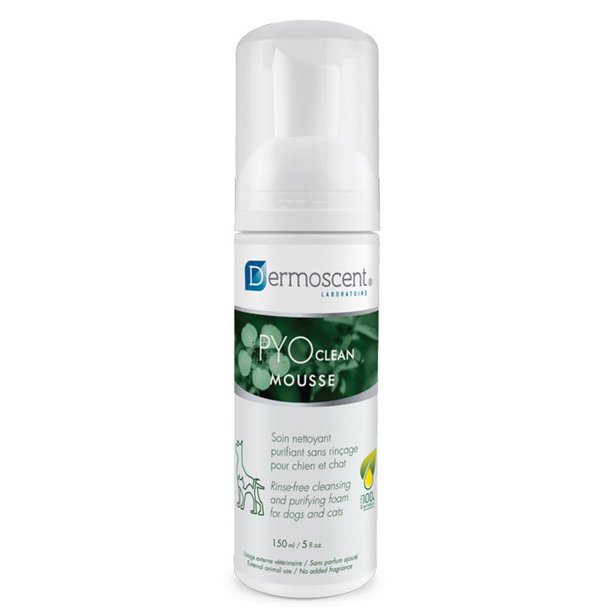 Dermoscent PYO Clean Mousse for Cats and Dogs (150 mL) - Walmart.com