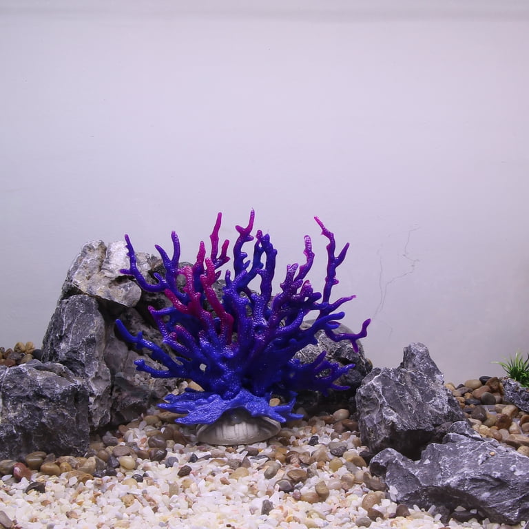 Purple Branching Coral