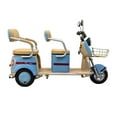 Massimo MGC E-Trike 3-Wheel Electric Cart – 17 MPH, 2-Seater Adult ...