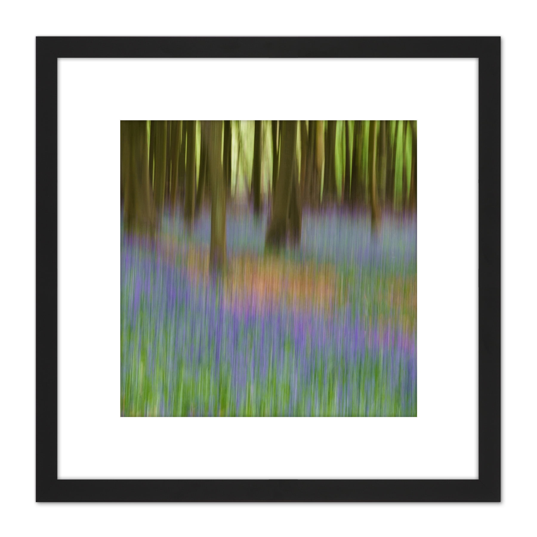 Colin Bluebells Beech Trees Impressionist 8X8 Inch Square Wooden Framed ...