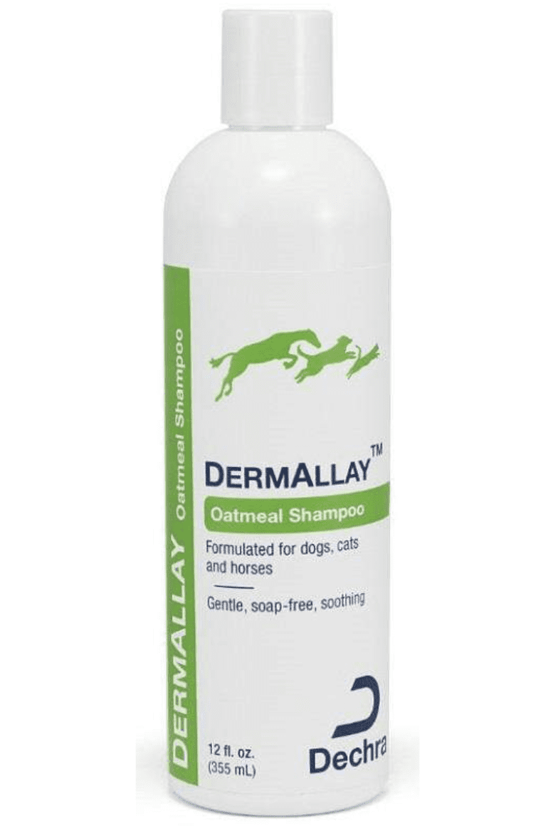 DermAllay Oatmeal Shampoo for Dogs, Cats, and Horses. 12 fl. oz ...