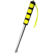 Hand Held Flag Poles