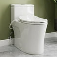 HOROW T0338W One Piece Toilet with Non-Electric Bidet Toilet Seat ...