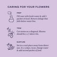 1800 Flowers - 36 Stem Red Roses (Bouquet Only) - Bulk Fresh Flowers ...