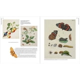 Maria Sibylla Merian: Artist, Scientist, Adventurer, (Hardcover ...