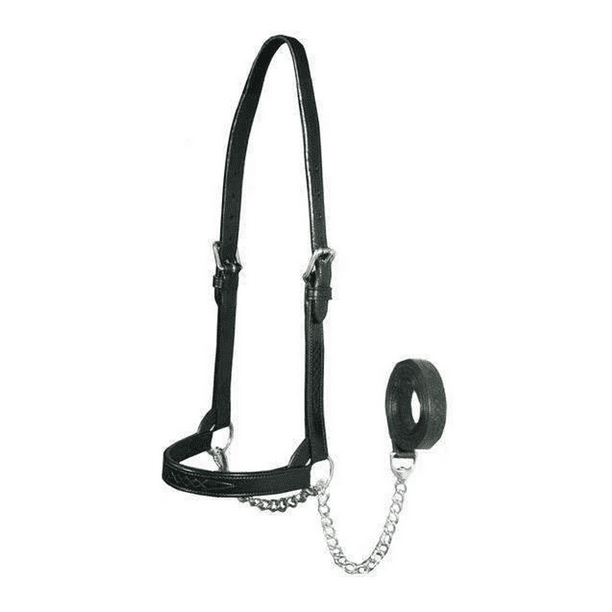 Show Halter