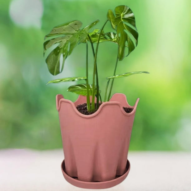 Maceta de flores con base de silicona recipiente de plantas de flores ...