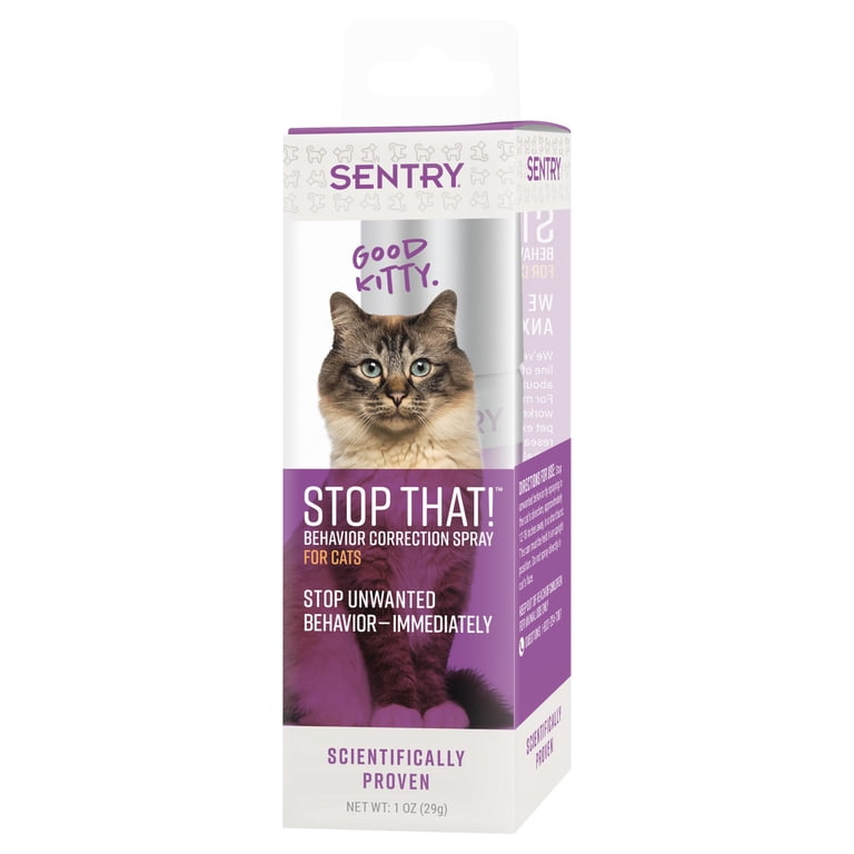 Fixed Male Cat Spraying | ppgbbe.intranet.biologia.ufrj.br