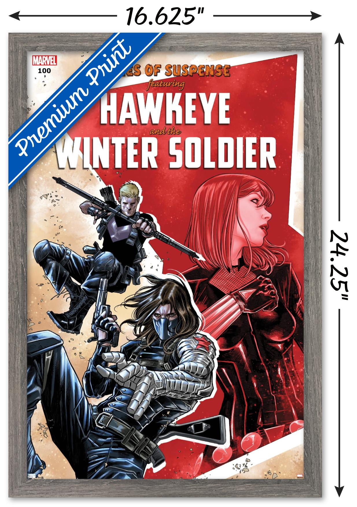 Winter Soldier Comic Book