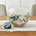 Ashland¬Æ Dyed & Natural Mixed Sea Shells for Crafts & Decorating ...