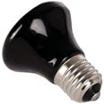 Reptile Heat Lamp - Ceramic Infrared Heat Emitter Bulb 110V 100W for ...