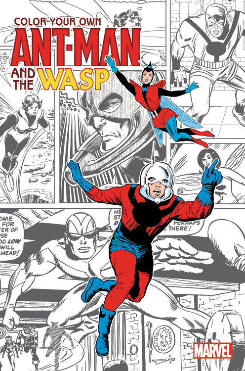 Color Your Own Ant-Man and the Wasp - Walmart.com
