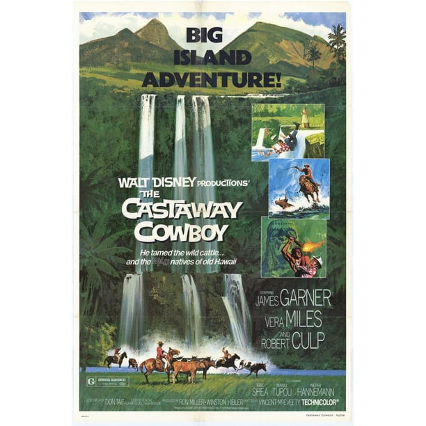 The Castaway Cowboy - movie POSTER (Style A) (11" x 17") (1974 ...