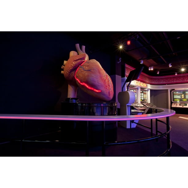 Display showing the human body in detail at My Body Works, an ...