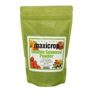 Yucca Wet, Liquid Yucca Extract- Organic wetting Agent and surfactant 1 ...