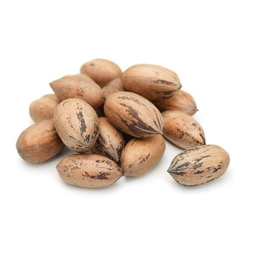 Anna and Sarah Jumbo California Chandler Walnuts in Natural Shells, Fresh Buttery Taste, Easy to ...