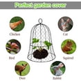 (5 Packs) Wire Cloche Plant Protector: 13x15.7in, Durable Pest Guard ...