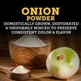 Tone's Onion Powder, 2.25 oz - Walmart.com