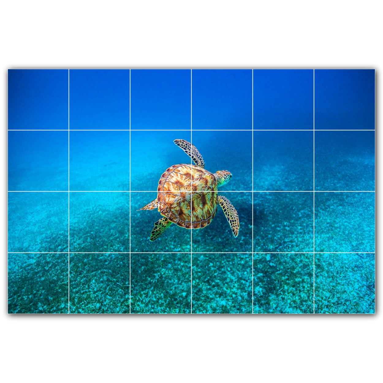 Picture-Tiles.com: Turtle Ceramic Tile Wall Mural WAL501081-64L. 48"W x ...