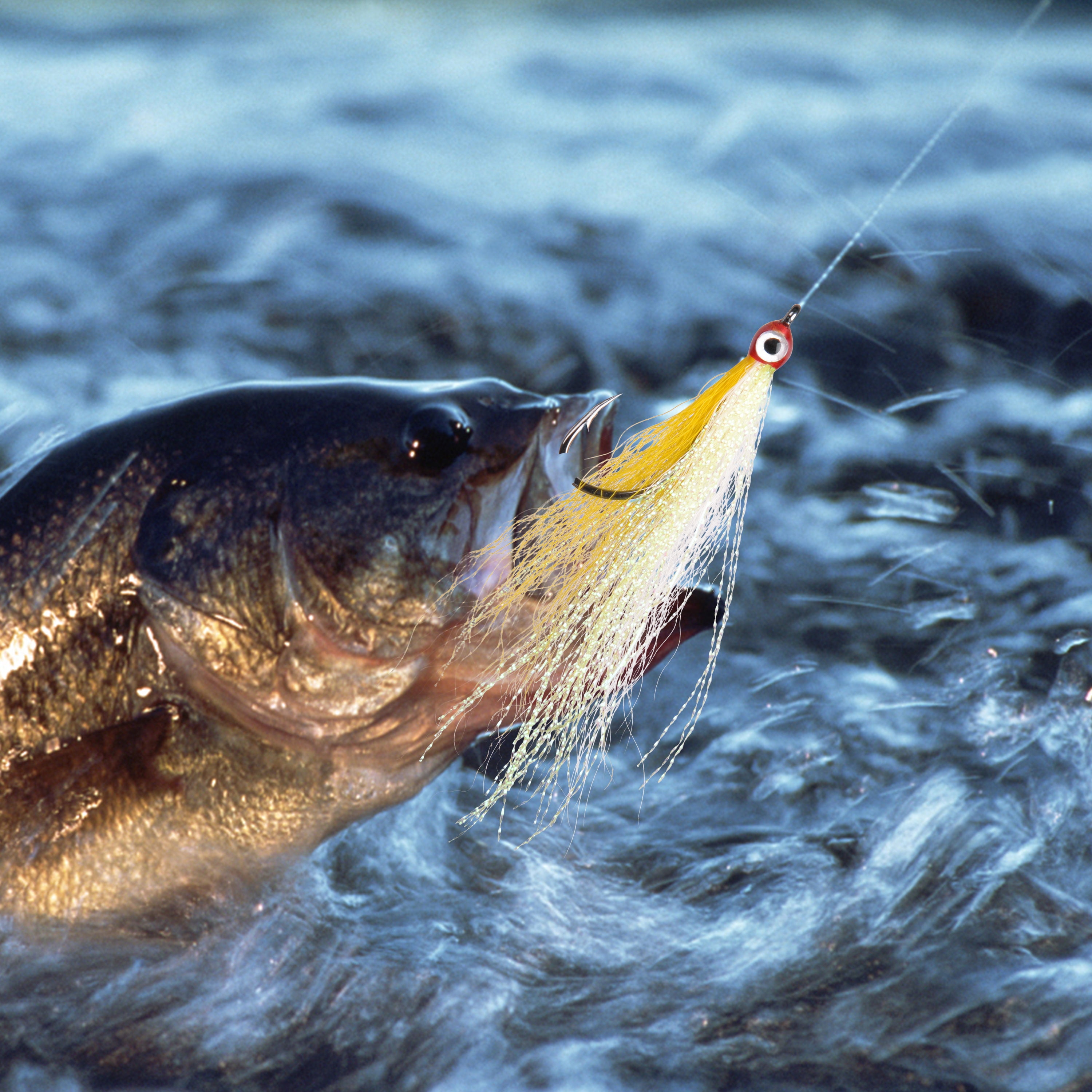Bucktail Lures For Flounder